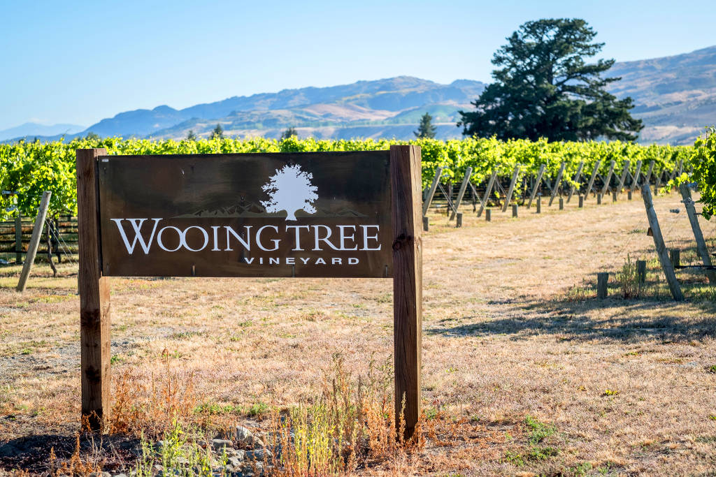 Wooing Tree Development – Wooing Tree